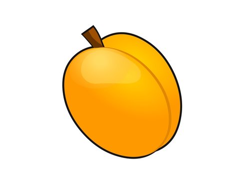 Marille Bilder – Durchsuchen 17,668 Archivfotos, Vektorgrafiken und ...