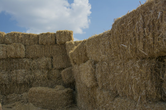 Balya Bilder – Durchsuchen 72 Archivfotos, Vektorgrafiken und Videos ...