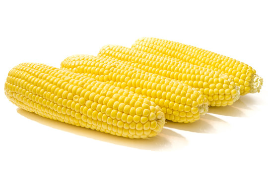 「Genmanipuliert」の画像 - 636 件の Stock 写真、ベクターおよびビデオ | Adobe Stock