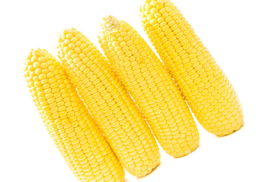 Genmanipuliert Bilder – Durchsuchen 642 Archivfotos, Vektorgrafiken und ...