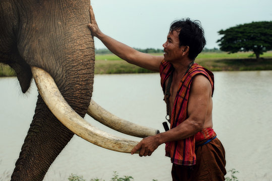 「Mahout」の画像 - 3,230 件の Stock 写真、ベクターおよびビデオ | Adobe Stock