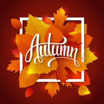Fall Logo