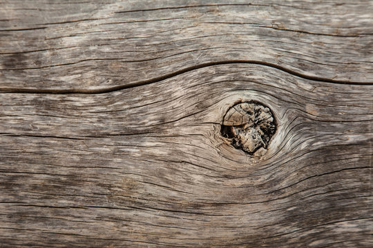 「Astloch」の画像 - 3,592 件の Stock 写真、ベクターおよびビデオ | Adobe Stock