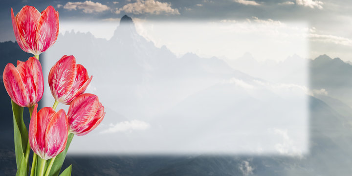 "Flower Postcard" Images – Browse 599 Stock Photos, Vectors, and Video ...