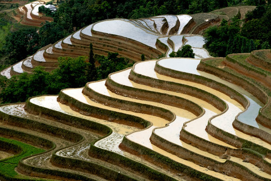 Terracing Images – Browse 948,594 Stock Photos, Vectors, and Video ...