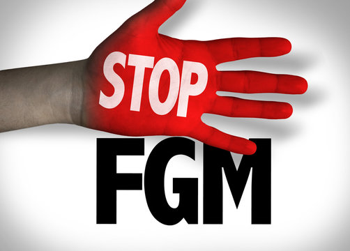 Imágenes de Fgm: descubre bancos de fotos, ilustraciones, vectores y ...