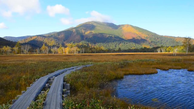 รูปภาพOze – เลือกดูภาพถ่ายสต็อก เวกเตอร์ และวิดีโอ600 | Adobe Stock