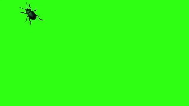 Go Green Background Images – Browse 106,069 Stock Photos, Vectors, and ...