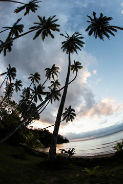 Bulas Images – Browse 103 Stock Photos, Vectors, and Video | Adobe Stock