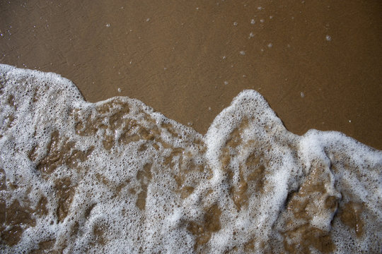 Flutet Images – Browse 74 Stock Photos, Vectors, and Video | Adobe Stock