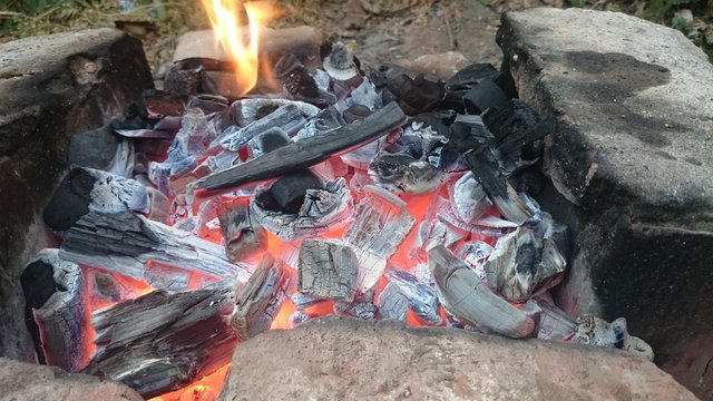 Vehemently Images – Browse 259 Stock Photos, Vectors, and Video | Adobe ...