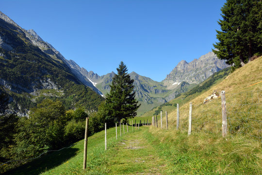 Attinghausen Images – Browse 41 Stock Photos, Vectors, and Video ...