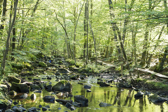 Vattendrag Images – Browse 120 Stock Photos, Vectors, and Video | Adobe ...