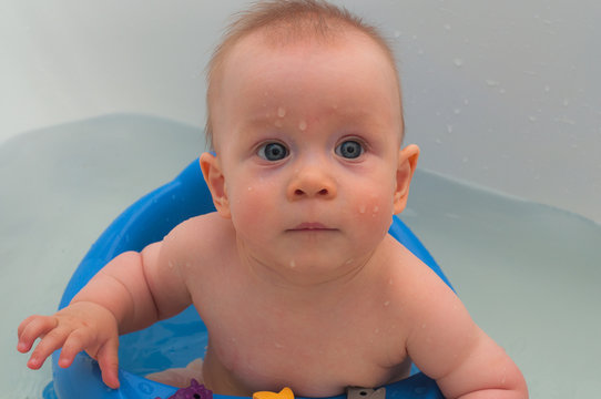 kalmot photos, images, assets | Adobe Stock