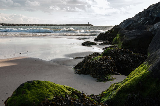 kalmot photos, images, assets | Adobe Stock