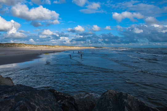 kalmot photos, images, assets | Adobe Stock