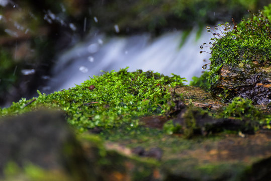 「Wasserquelle」の画像 - 827 件の Stock 写真、ベクターおよびビデオ | Adobe Stock