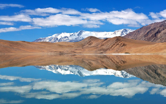 Karu Images – Browse 40 Stock Photos, Vectors, and Video | Adobe Stock