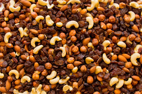 Hazelnoot Images – Browse 16 Stock Photos, Vectors, and Video | Adobe Stock