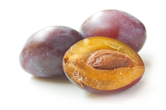 Quetches Images – Parcourir 54,610 le catalogue de photos, vecteurs et ...