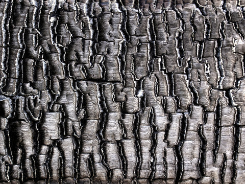 รูปภาพCharred – เลือกดูภาพถ่ายสต็อก เวกเตอร์ และวิดีโอ91,955 | Adobe Stock