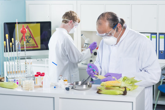 Genfood bilder – Bläddra bland 664 stockfoton, vektorer och videor ...