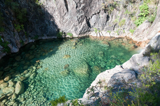 Imagens de Rockpool – Explore Fotografias do Stock, Vetores e Vídeos de ...