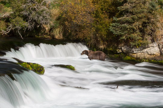 Punce Images – Browse 22 Stock Photos, Vectors, and Video | Adobe Stock