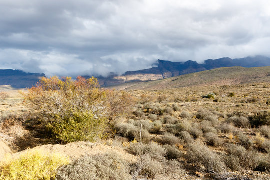 Klaarstroom Images – Browse 52 Stock Photos, Vectors, and Video | Adobe ...