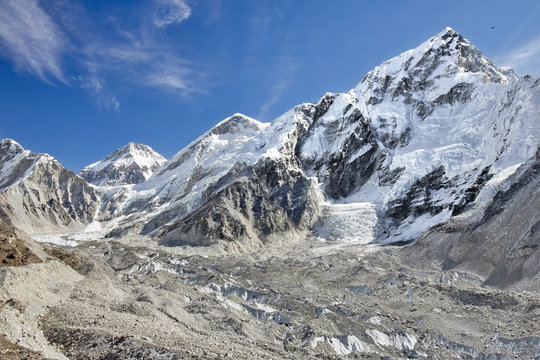 Shae Images – Browse 47 Stock Photos, Vectors, and Video | Adobe Stock