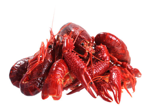 รูปภาพCraws – เลือกดูภาพถ่ายสต็อก เวกเตอร์ และวิดีโอ4,433 | Adobe Stock