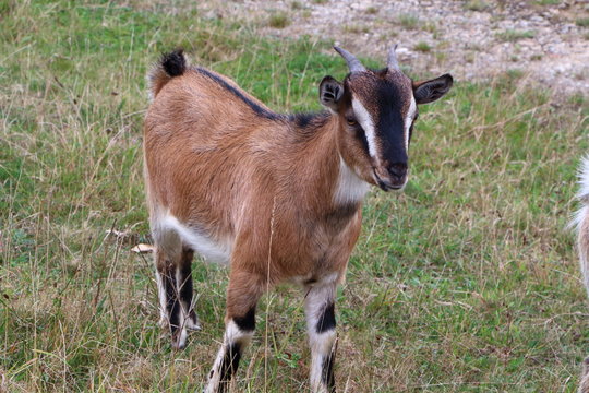 รูปภาพBiquette – เลือกดูภาพถ่ายสต็อก เวกเตอร์ และวิดีโอ506 | Adobe Stock