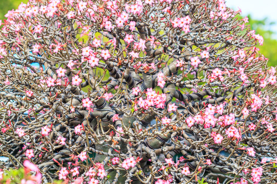 Azaria Images – Browse 54 Stock Photos, Vectors, and Video | Adobe Stock