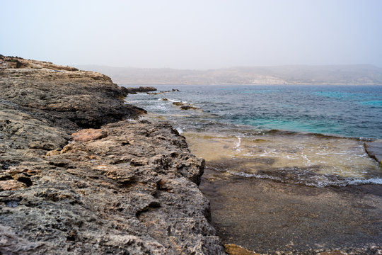 Schimmen Bilder – Durchsuchen 113 Archivfotos, Vektorgrafiken und ...