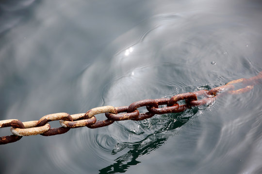 Verwesung Bilder – Durchsuchen 31,973 Archivfotos, Vektorgrafiken und ...