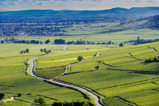 Corton Images – Parcourir 703 le catalogue de photos, vecteurs et ...