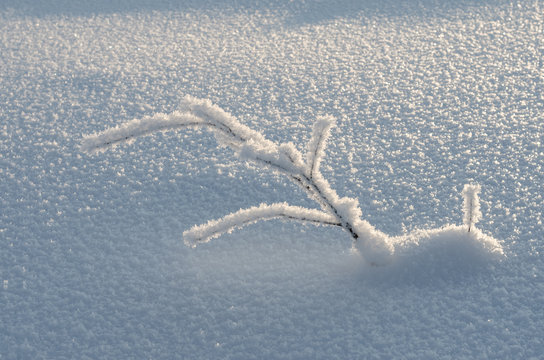 Apatity Bilder – Durchsuchen 287 Archivfotos, Vektorgrafiken und Videos ...