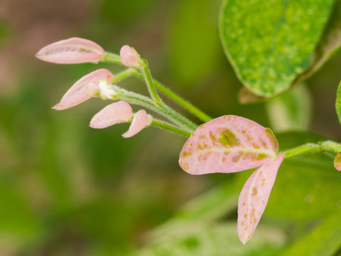 Resa Bilder – Durchsuchen 382 Archivfotos, Vektorgrafiken und Videos ...