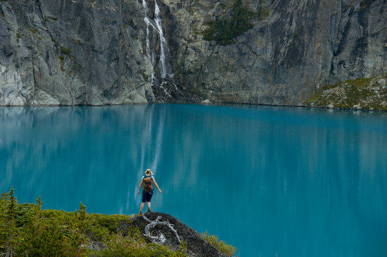 「Niut」の写真素材 | 10件の無料イラスト画像 | Adobe Stock