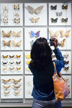 Insectarium-Bilder: Stock-Fotos & -Videos. | Adobe Stock