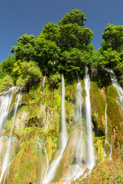 Loristan 影像 – 瀏覽 14 個素材庫相片、向量圖和影片 | Adobe Stock