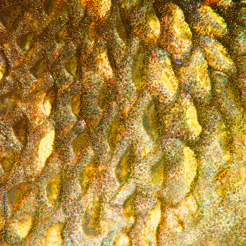 "Close up of fish skin with scales. Natural background from Northern ...