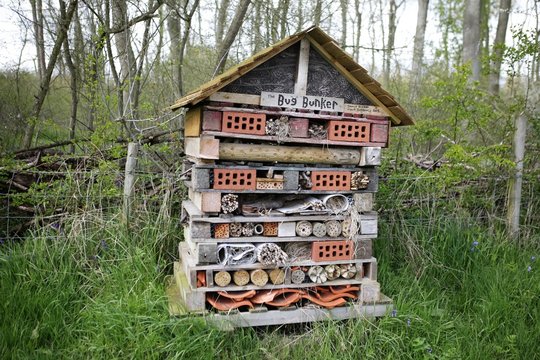 "Bug House" Images – Parcourir 401 le catalogue de photos, vecteurs et ...