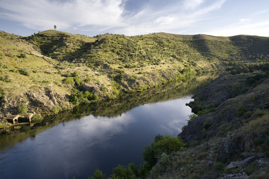 "Tagus River" Bilder – Durchsuchen 6,156 Archivfotos, Vektorgrafiken ...