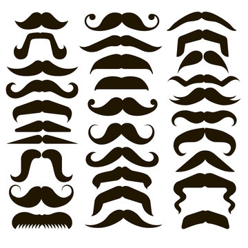 Imagens de Ustache – Explore Fotografias do Stock, Vetores e Vídeos de ...