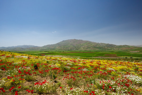 Kamyaran Images – Browse 13 Stock Photos, Vectors, and Video | Adobe Stock