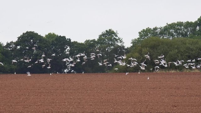 Nuisance Images – Browse 15,173 Stock Photos, Vectors, and Video ...