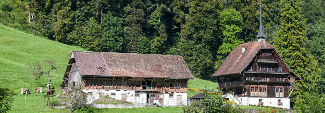 รูปภาพWolfenschiessen – เลือกดูภาพถ่ายสต็อก เวกเตอร์ และวิดีโอ135 ...