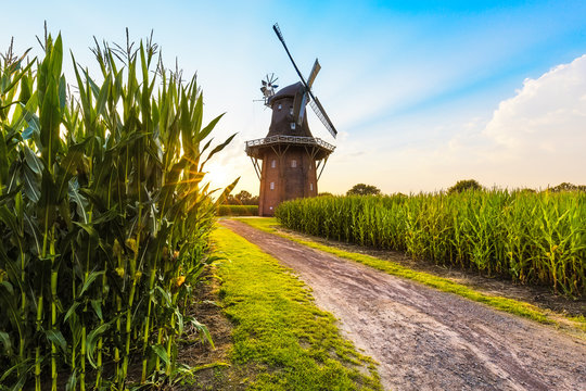 รูปภาพHoltland – เลือกดูภาพถ่ายสต็อก เวกเตอร์ และวิดีโอ17 | Adobe Stock