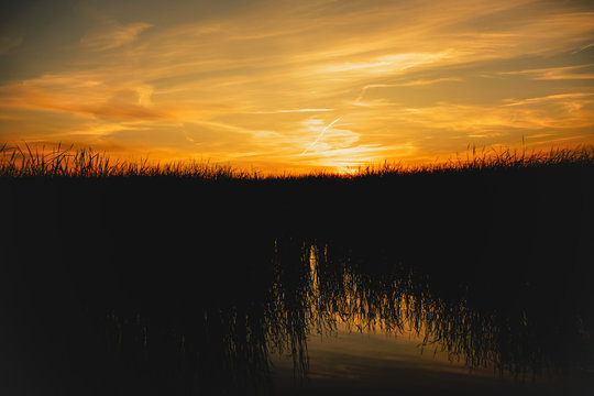 Marsh Night Bilder – Durchsuchen 8,931 Archivfotos, Vektorgrafiken und ...